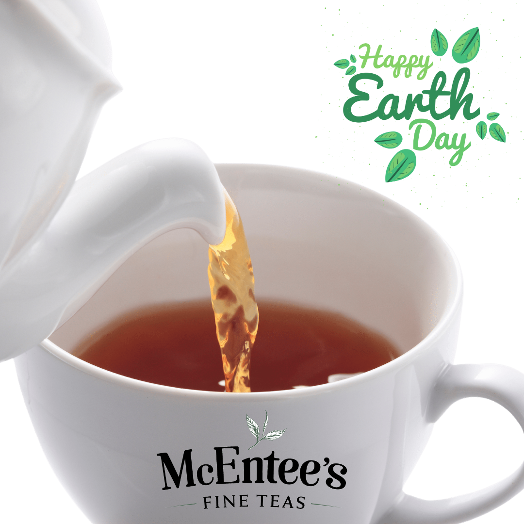 World Earth Day - Switch to Fully Biodegradable loose Tea - Here's how ...